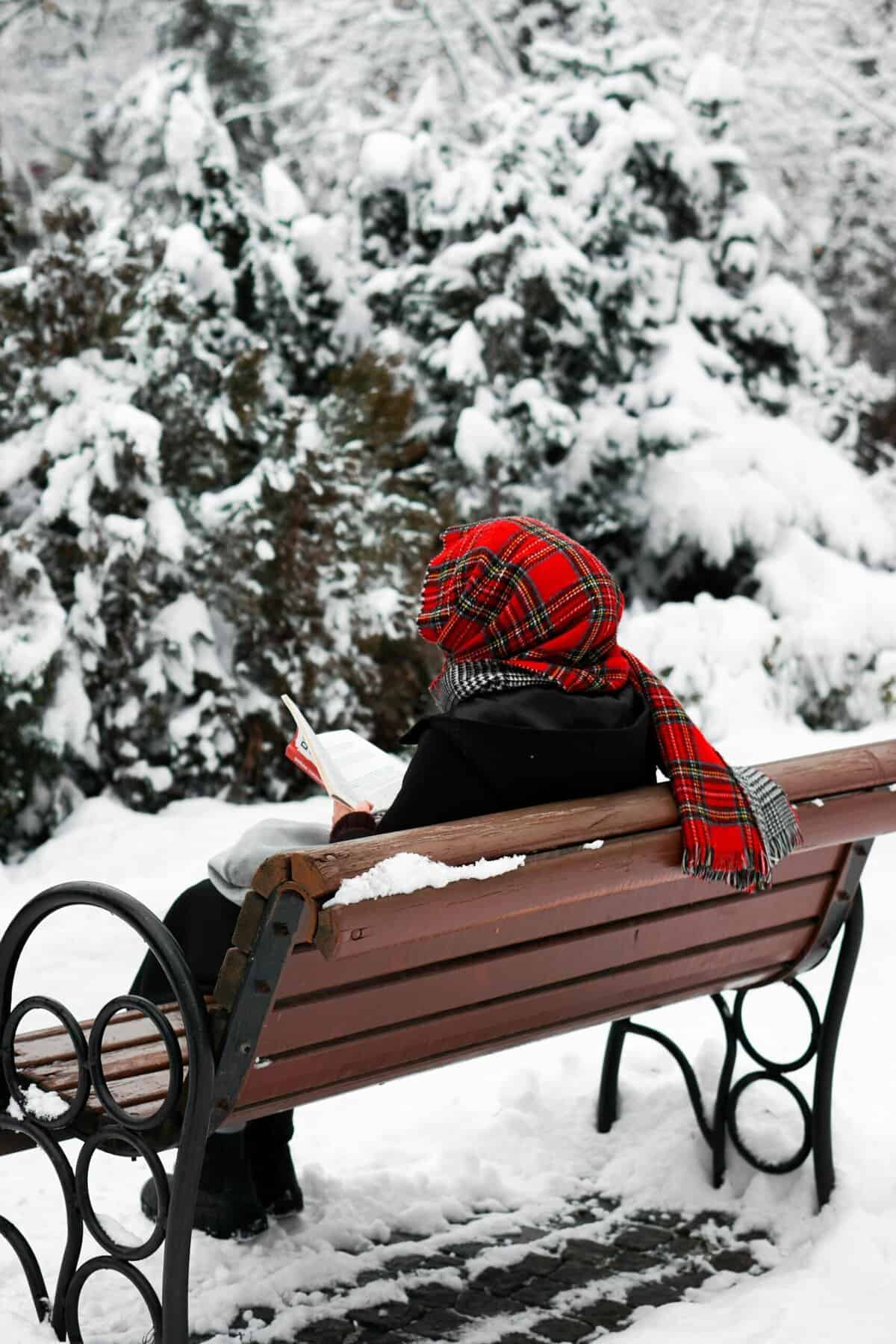 Winter Reading Activities to Re-Engage Students - The Literature Lady
